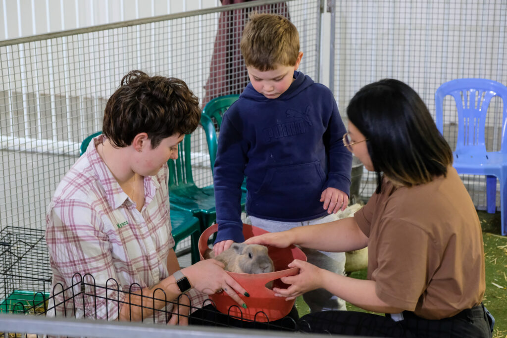 A visit from the farm! - Autism Partnership