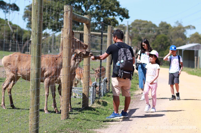 AP Family Day @ Myuna Farm